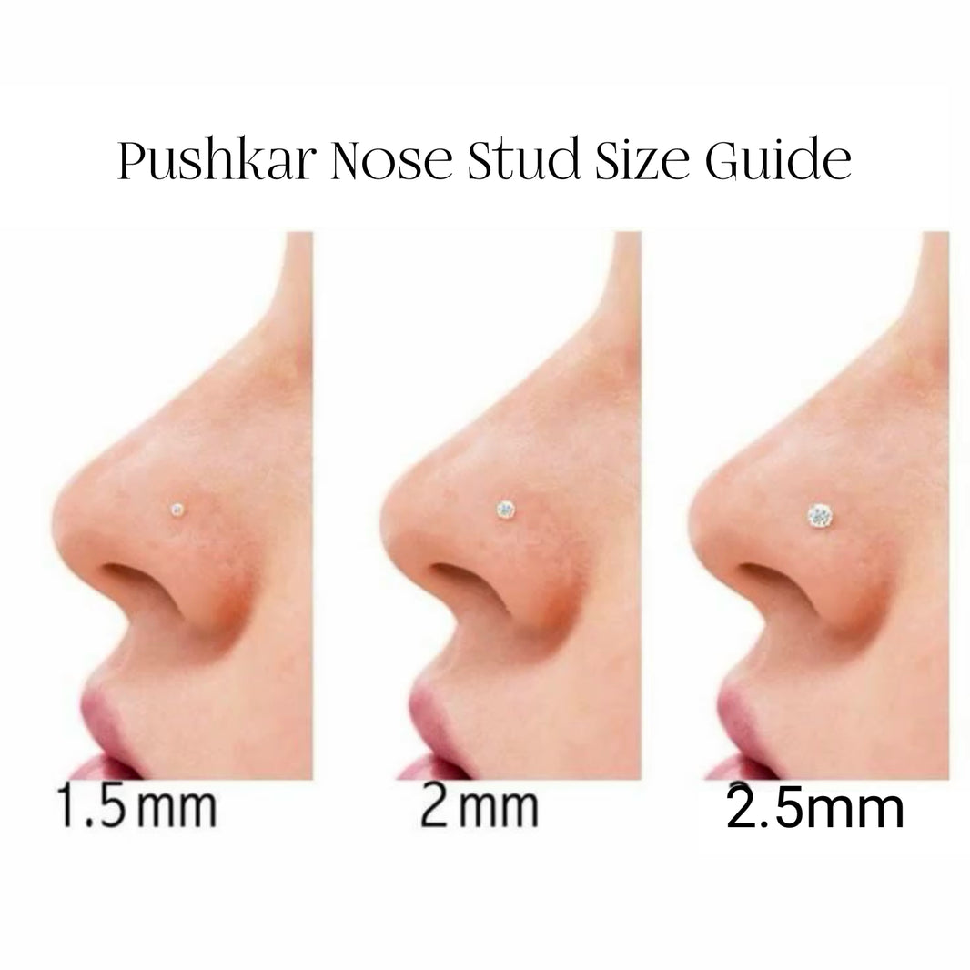 Nose Studs – Pushkar