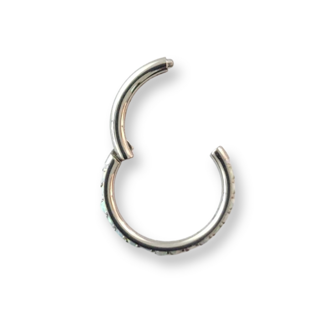 Clickers – Pushkar